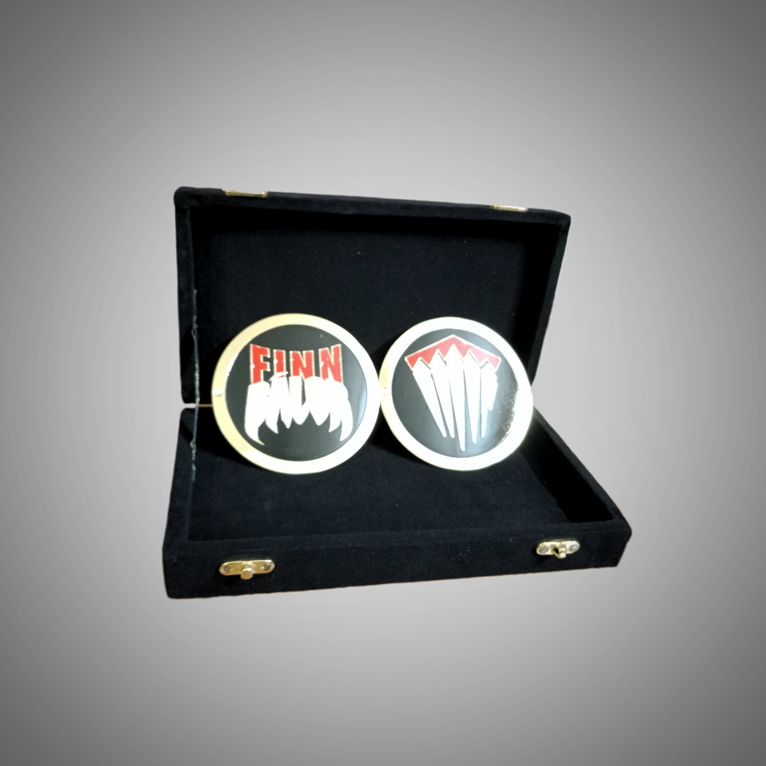 WWE Finn Balor Side Plates Championship Title Box Set – FormulaFit ...
