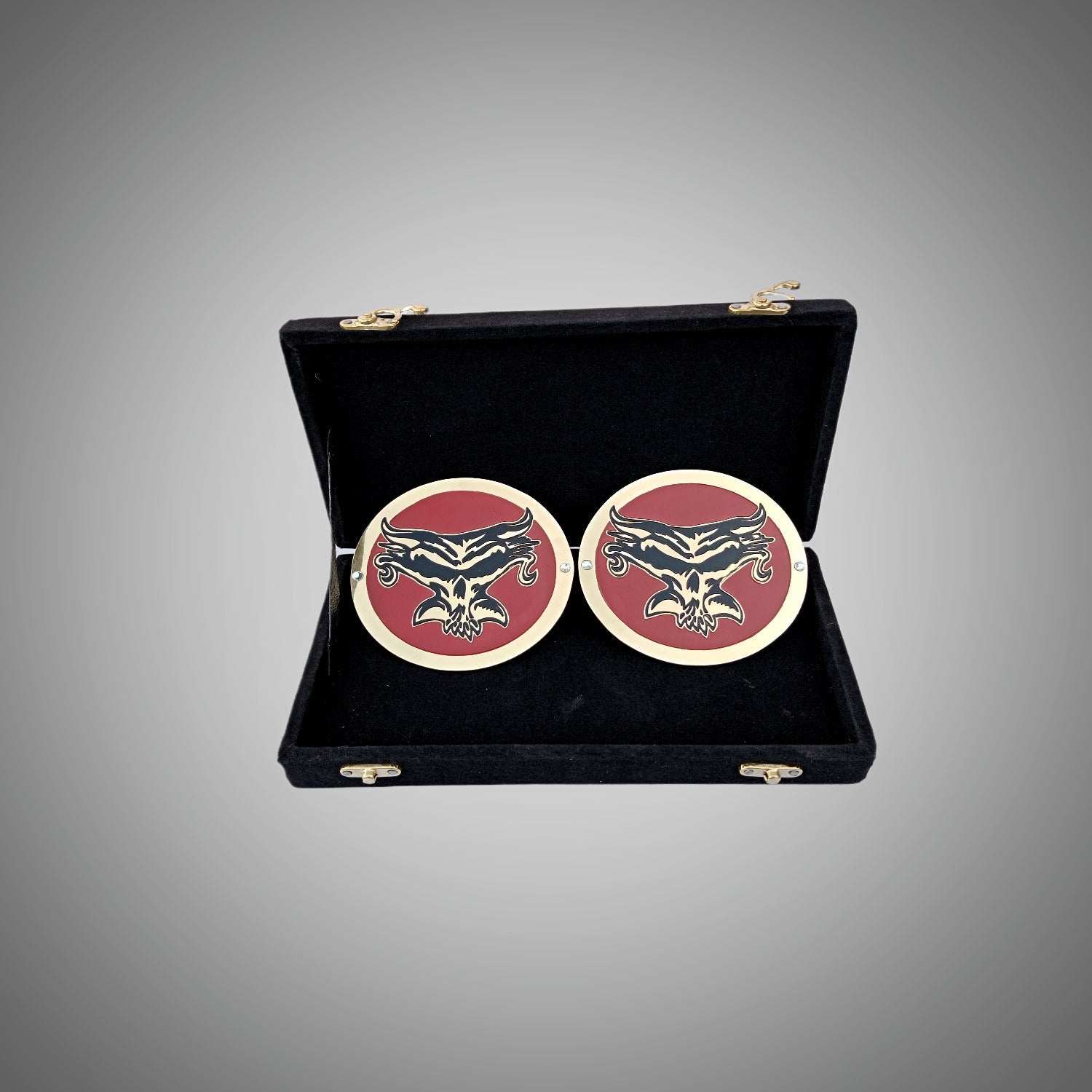 WWE Brock Lesnar Side Plates Championship Title Box Set – FormulaFit ...